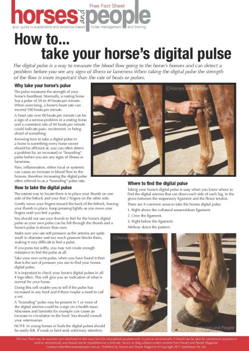 Taking your horses digital pulse - HorseFX